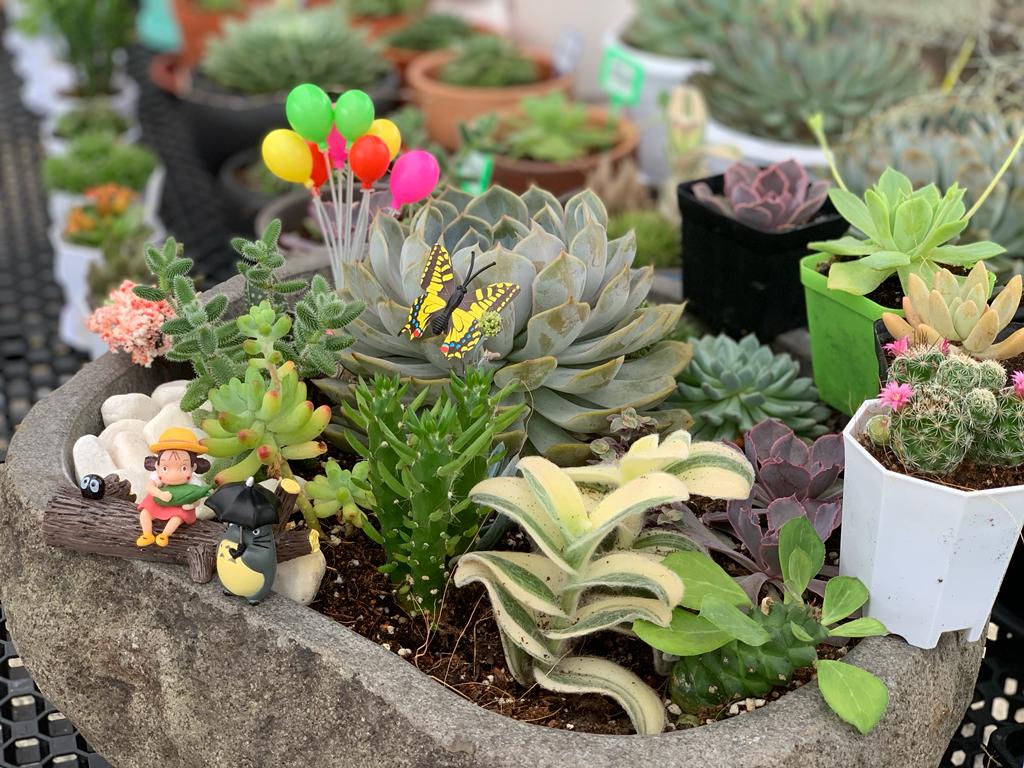 Green Score Sdn. Bhd. @PJ - Eco Nursery