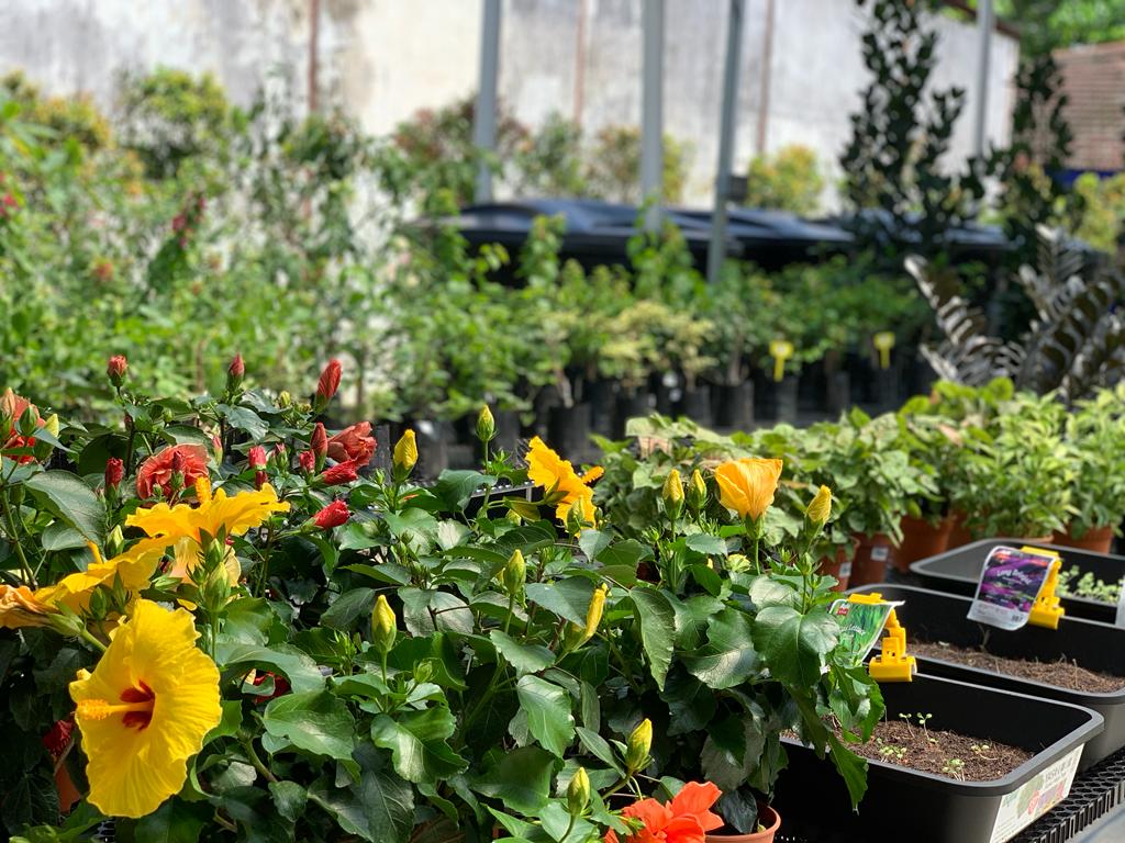 Green Score Sdn. Bhd. @PJ - Eco Nursery