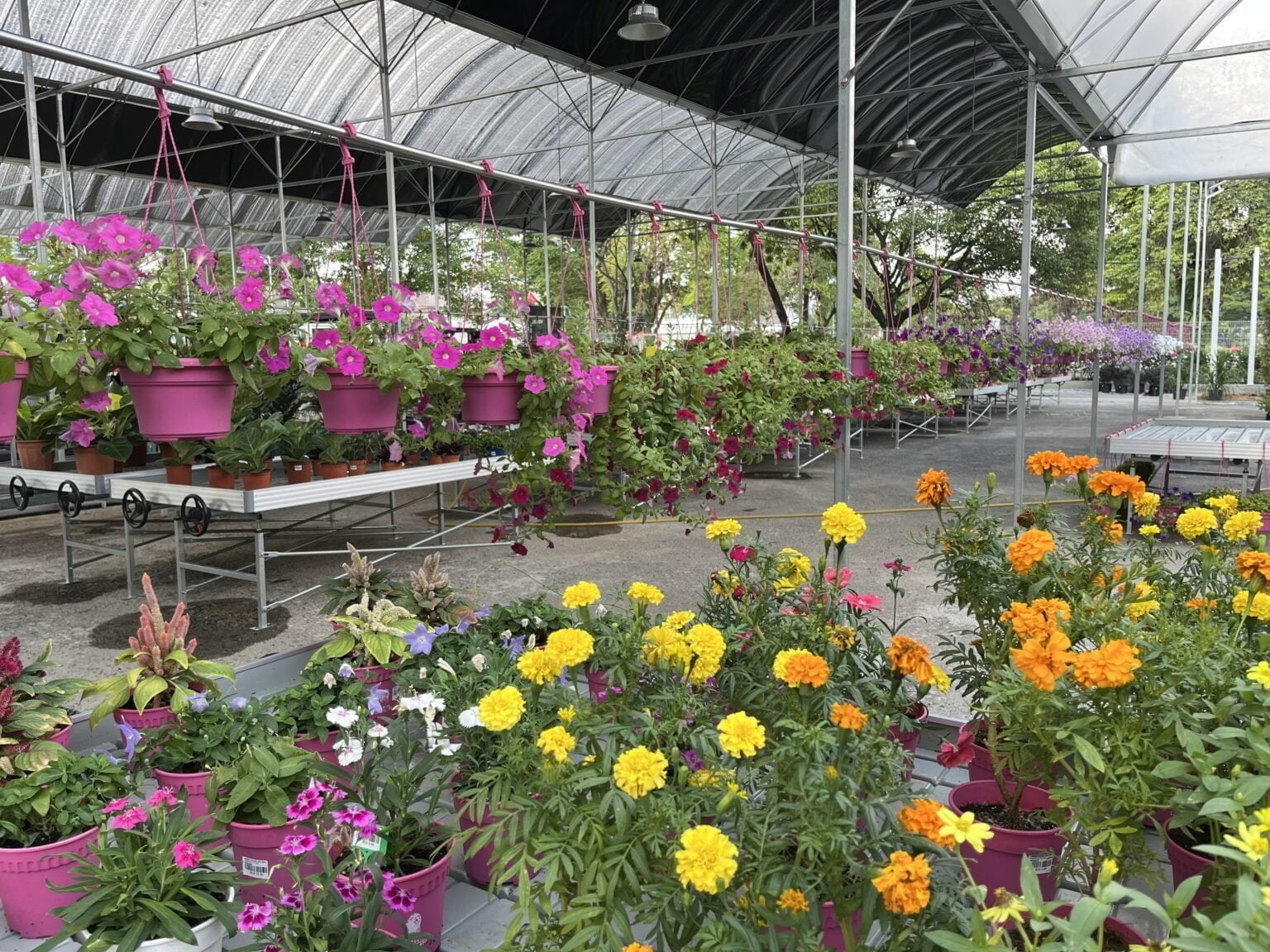 Green Score Sdn. Bhd. @PJ - Eco Nursery
